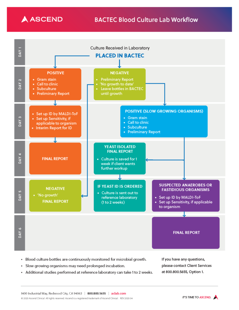 Blood Culture Workflow – Ascend Reference Manual